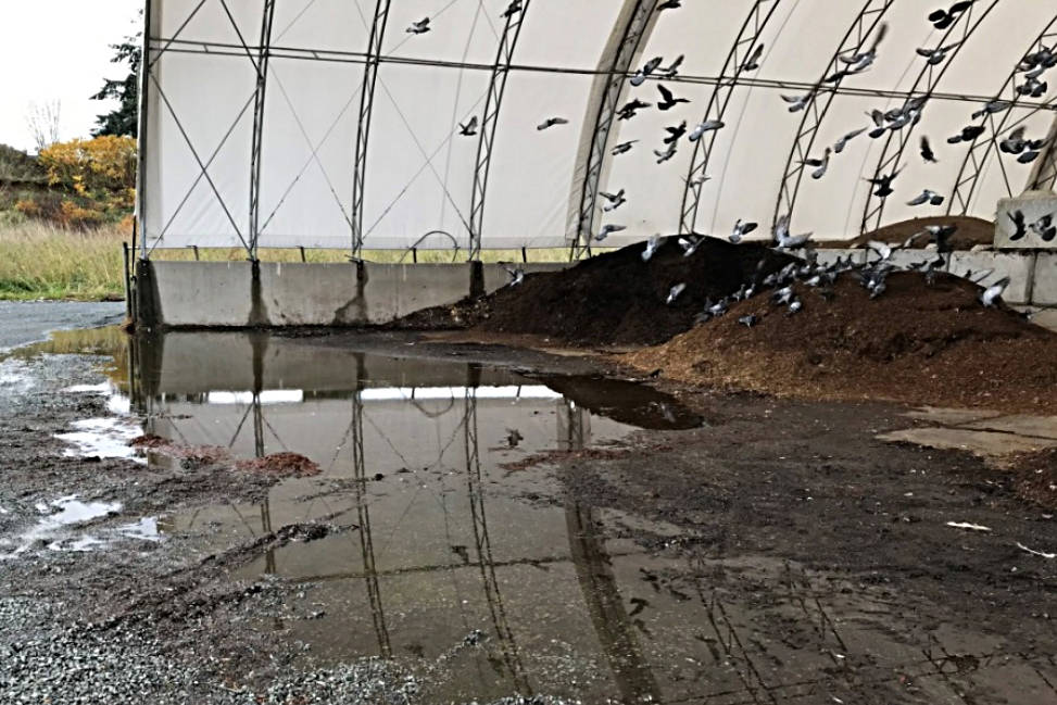 Toxic smell returns to Abbotsford elementary school raising health ...