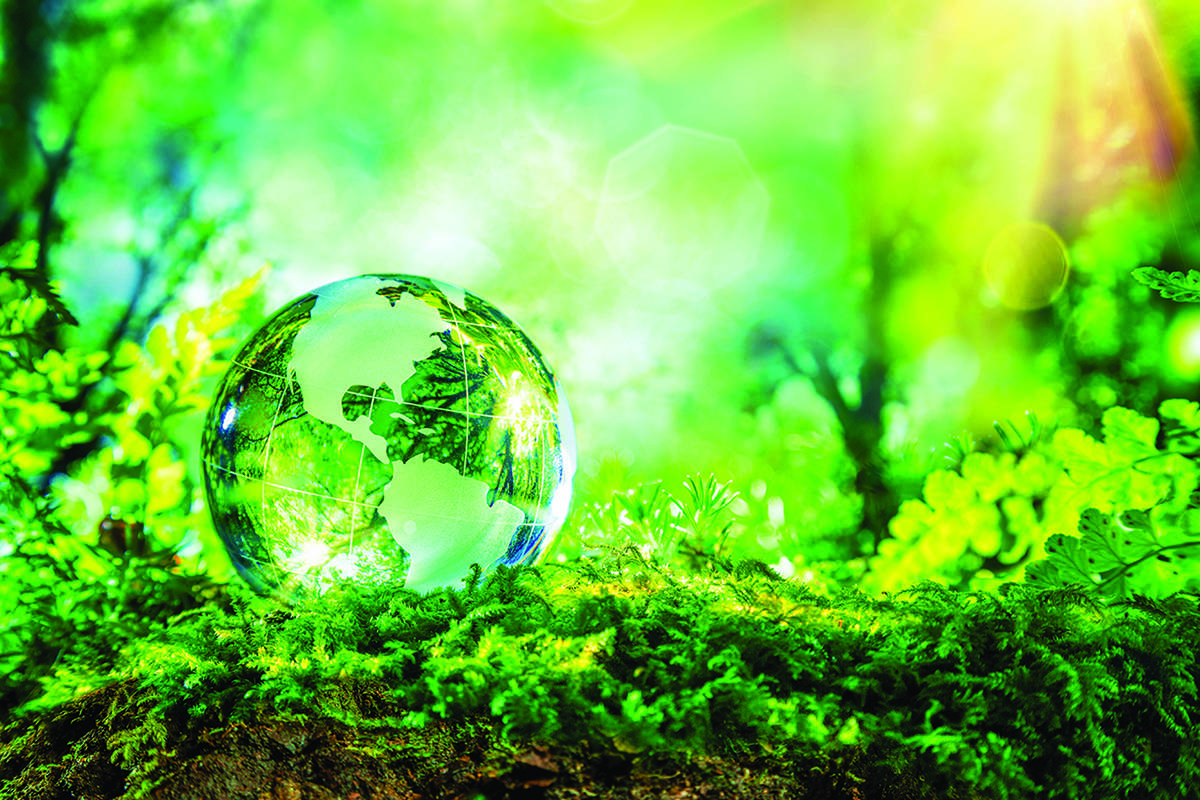 Earth Day: A new relationship to wildlife is needed for nature and ...