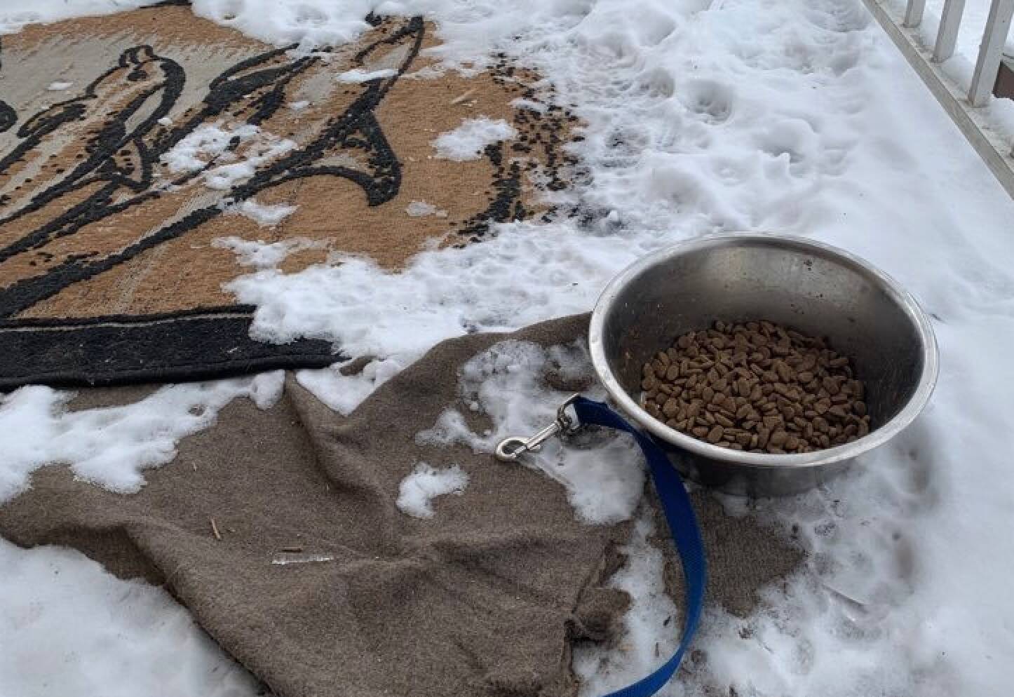 Princeton man ordered to pay more than $4K for neglecting dog ...