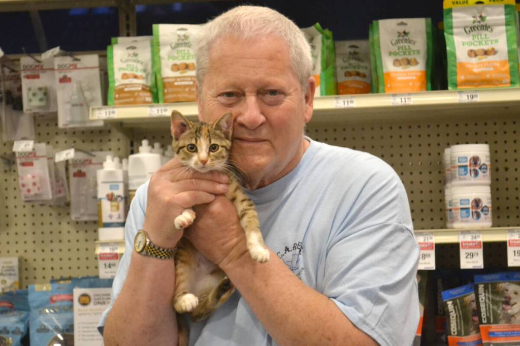 CARES hosts 20th annual walk for cats fundraiser in Langley ...