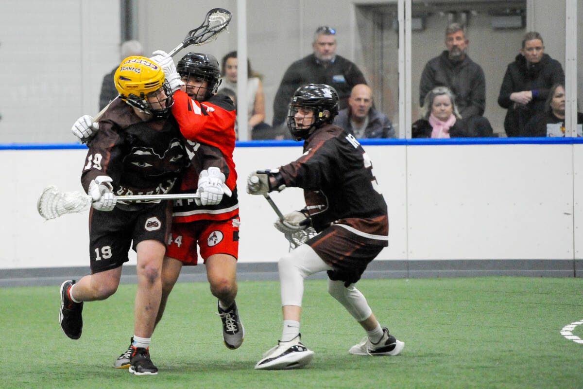 Grizzlies win third in a row | Aldergrove Star